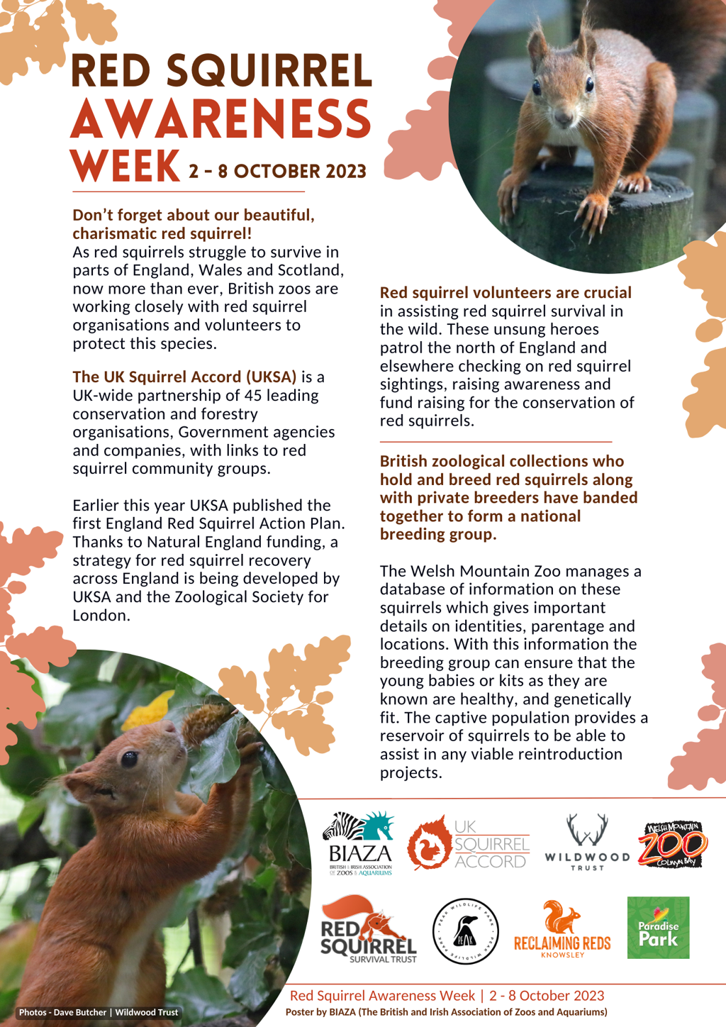 Red Squirrel Awareness Week