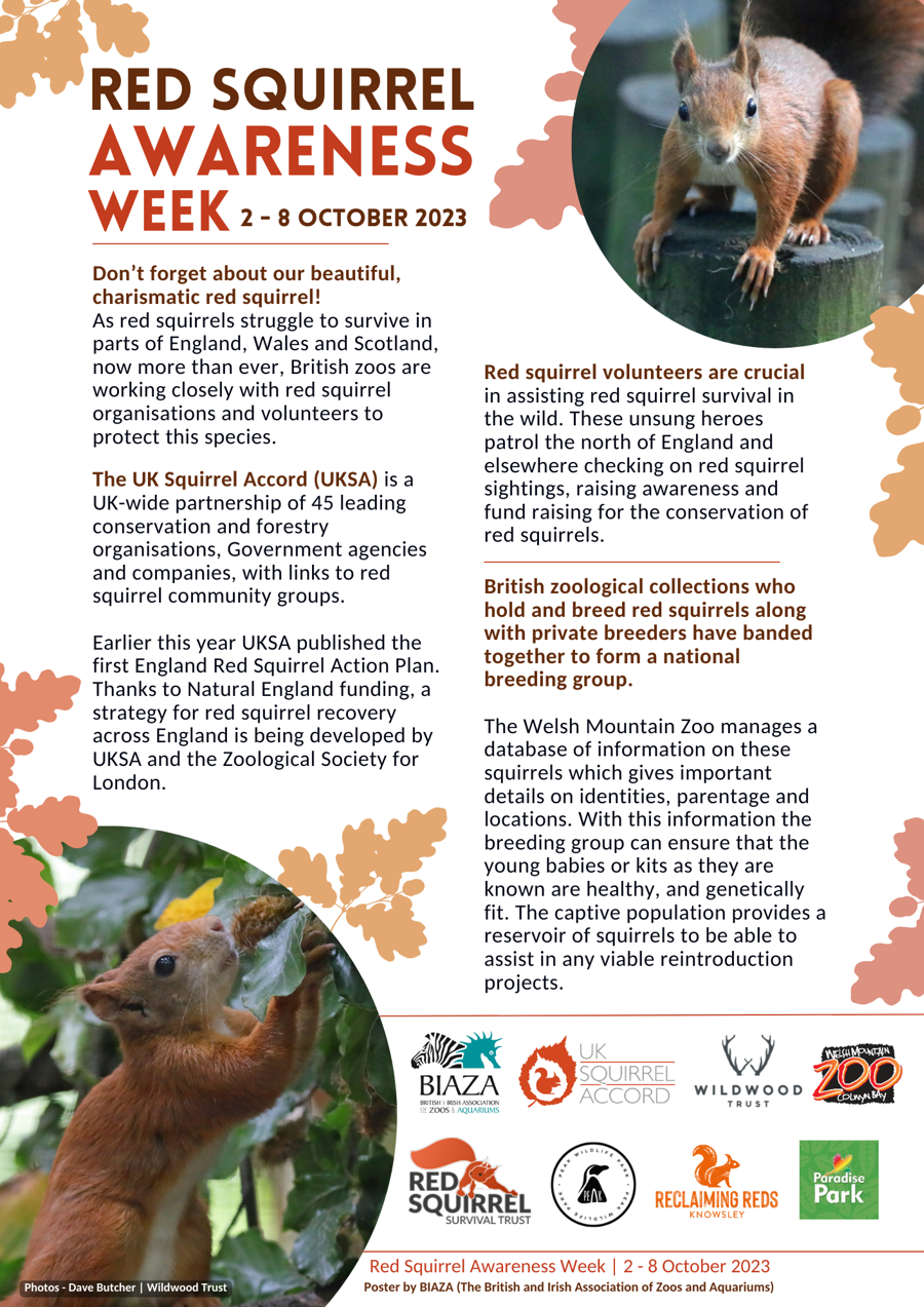 Red Squirrel Awareness Week
