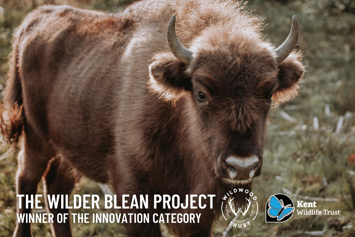 BIG Biodiversity Challenge Award Winners