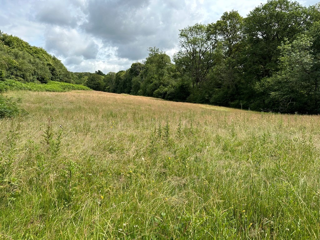 Conservation courses